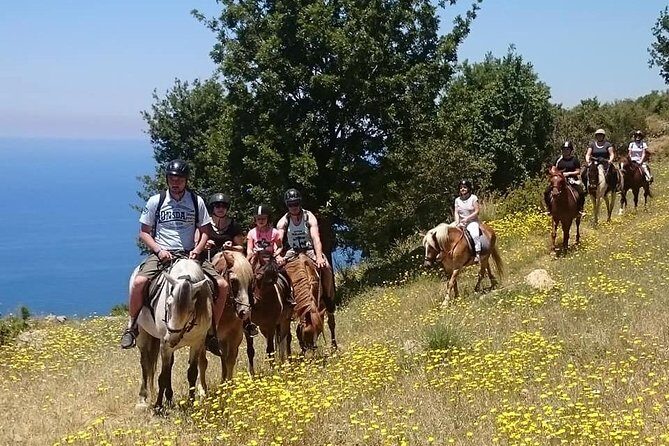 Alanya 3 Hour Horse Back Riding - Real Guests’ Perspectives