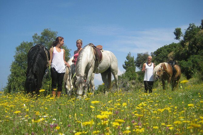 Alanya 3 Hour Horse Back Riding - FAQ