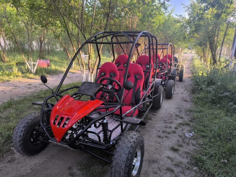 Alanya Buggy Safari: Thrill by River & Muddy Forest - FAQ