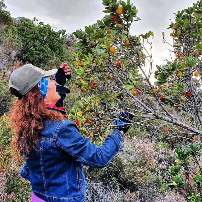 Alanya City Tour & Dimçay River Experience with Lunch - Fruit Garden & Scenic View