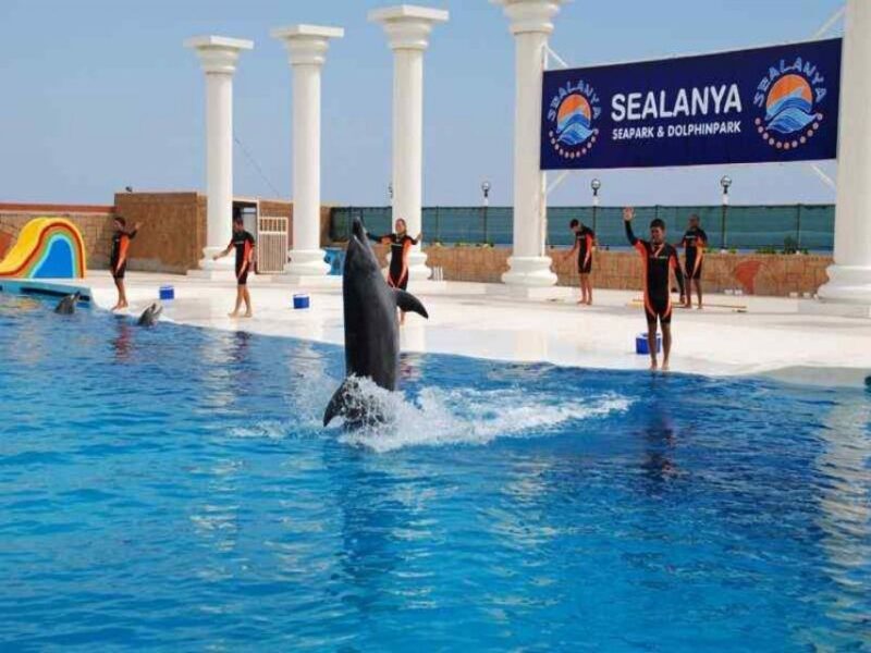 Alanya: Dolphin and Seal Show Ticket with Hotel Transfers - Additional Details and Practical Tips