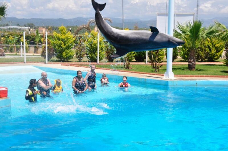 Alanya: Dolphin and Seal Show Ticket with Hotel Transfers - The Authenticity and Connectivity of this Experience