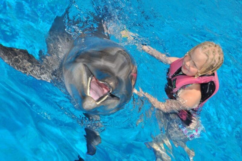 Alanya: Dolphin and Seal Show Ticket with Hotel Transfers - Who Will Love This Tour?