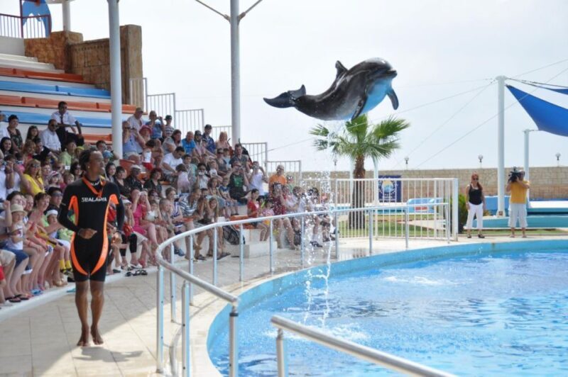 Alanya: Dolphin and Seal Show Ticket with Hotel Transfers - The Sum Up