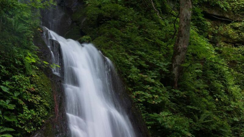 Alanya: Family Jeep Safari w/Canyon, River & Village Visit - What Makes This Tour Worthwhile