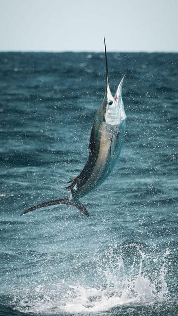 Alanya: Fishing Tour with Equipment and Lunch - FAQs