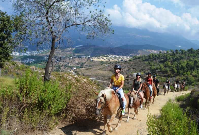 Alanya: Horse Riding Club Transfer Service - Why This Horseback Riding Experience Stands Out