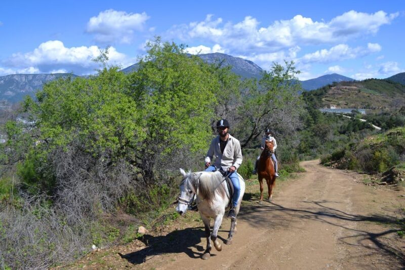Alanya: Horse Riding Club Transfer Service - The Cost and What You Get for the Price
