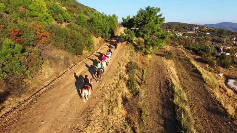Alanya: Horse Riding Club Transfer Service - Who Will Love This Tour?