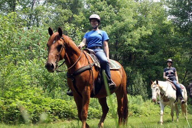 Alanya Horse Riding Experience With Free Hotel Transfer - The Sum Up: Is It Worth It?