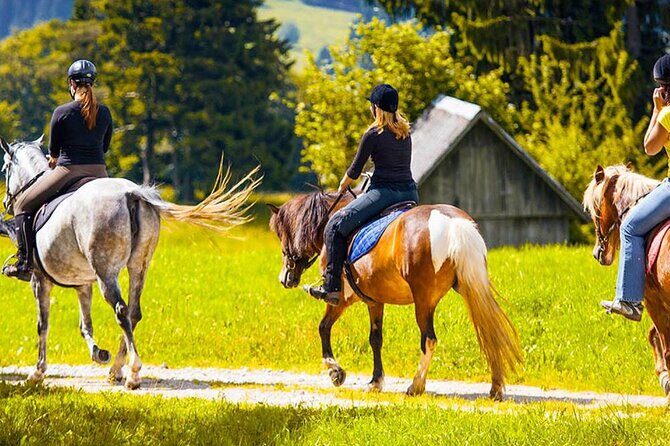 Alanya Horse Riding Experience With Free Hotel Transfer - FAQ