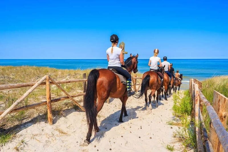 Alanya: Horse Riding Tour with Hotel Transfers - Key Points