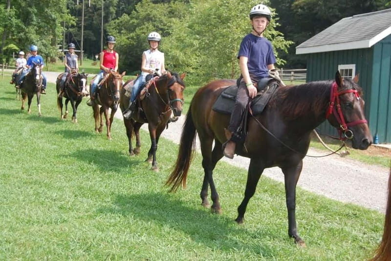 Alanya: Horse Riding Tour with Hotel Transfers - Pricing and Value Analysis