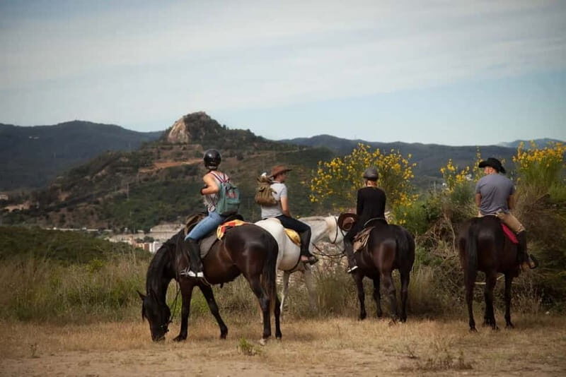 Alanya: Horse Riding Tour with Hotel Transfers - Who Should Consider This Tour?