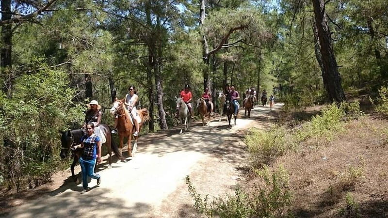 Alanya: Horseback Ride Through Nature near Syedra Ruins - A Complete Breakdown of the Experience