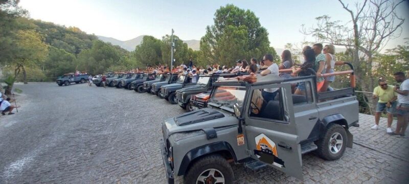Alanya: Night Safari Combo Tour With Diner & Belly Dancer - An In-Depth Look at the Tour Experience