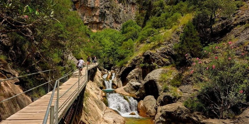 Alanya: Sapadere Canyon Tour w/Scenic Views and Lunch - What to Expect from This Canyon Adventure
