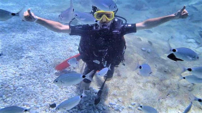 Alanya: Scuba Diving Adventure for Beginners & Professionals - Key Points