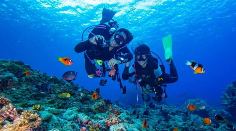 Alanya: Scuba Diving Adventure for Beginners & Professionals - What to Expect from the Alanya Scuba Tour