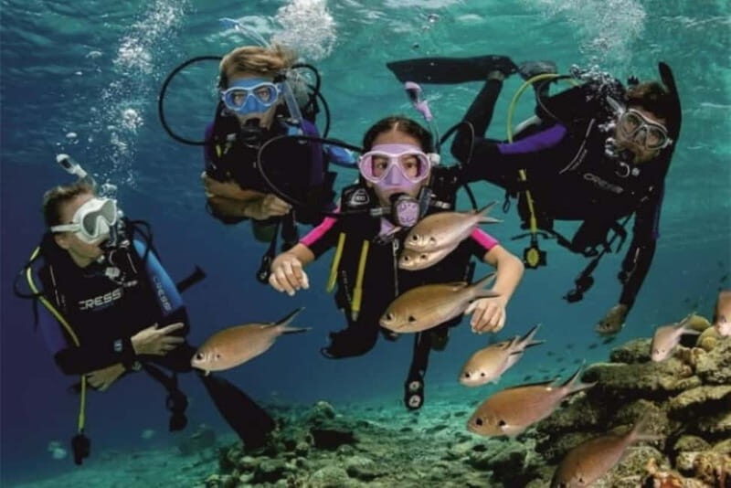 Alanya: Scuba Diving Adventure for Beginners & Professionals - Practical Tips for Travelers