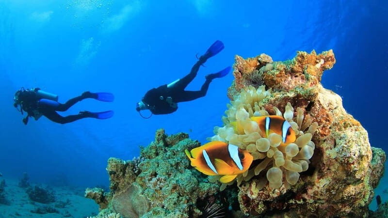 Alanya: Scuba Diving Adventure for Beginners & Professionals - Authentic Experiences and Authentic Feedback