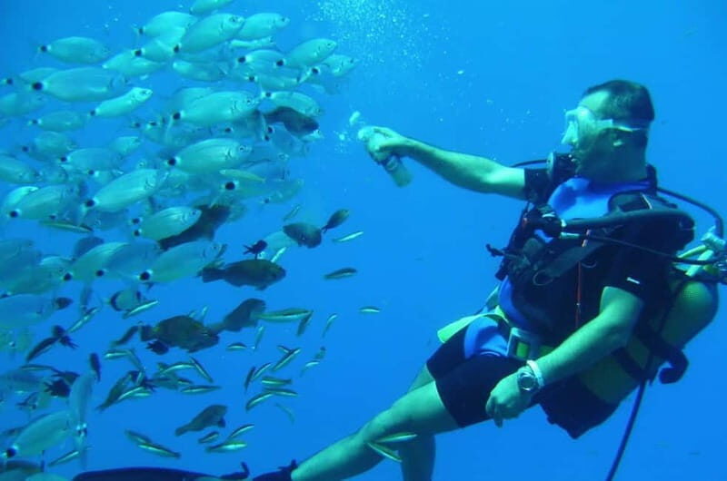 Alanya: Scuba Diving Adventure for Beginners & Professionals - Who Should Consider This Tour?