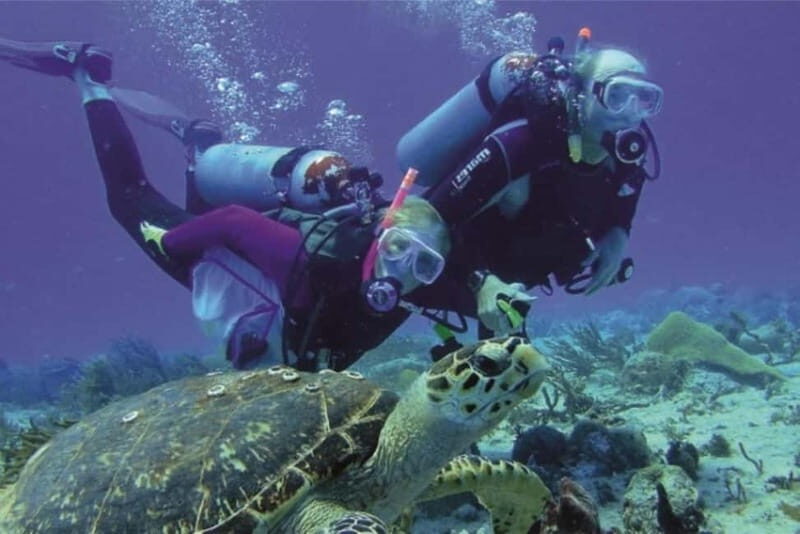 Alanya: Scuba Diving Adventure for Beginners & Professionals - The Sum Up