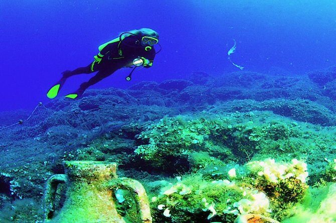 Alanya Scuba Diving with Hotel Transfer incl. Lunch - Key Points