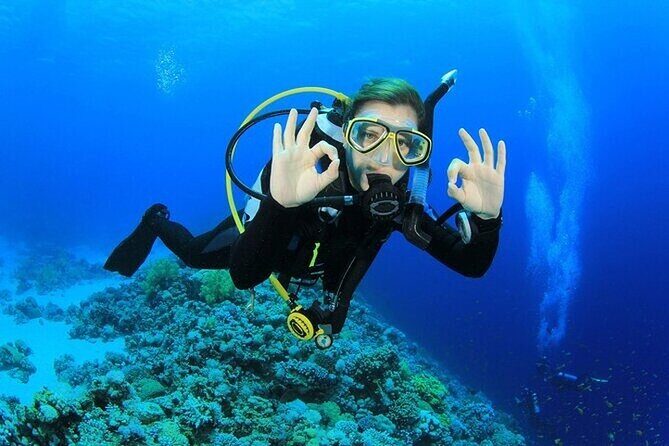 Alanya Scuba Diving With Lunch and Transfer - The Dives: What You Can Expect