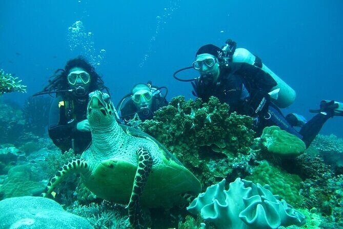 Alanya Scuba Diving With Lunch and Transfer - Lunch on Board: Tasty or Just Okay?