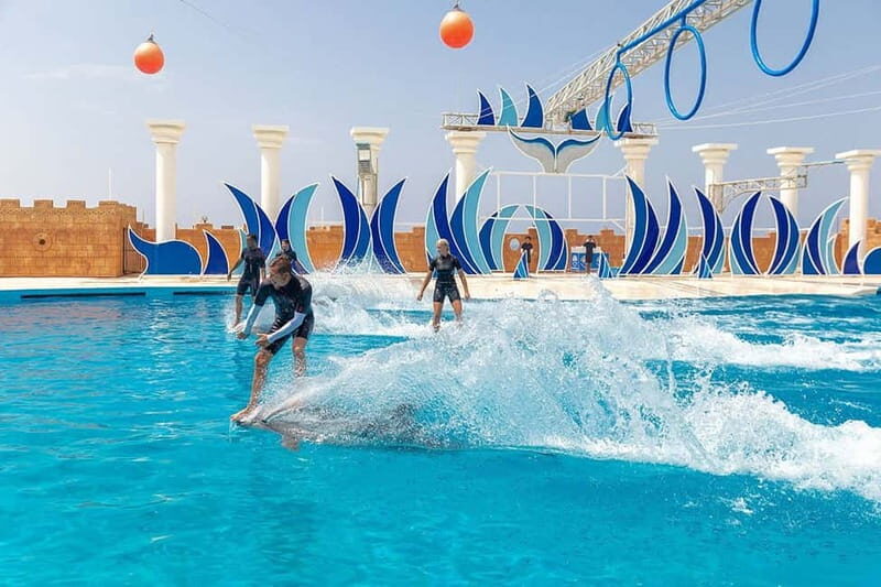 Alanya: Sealanya Dolphinpark Dolphin Show Tour - Authentic Feedback from Visitors