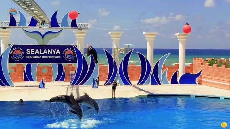 Alanya: Sealanya Dolphinpark Dolphin Show Tour - Final Thoughts: Is this Tour Right for You?