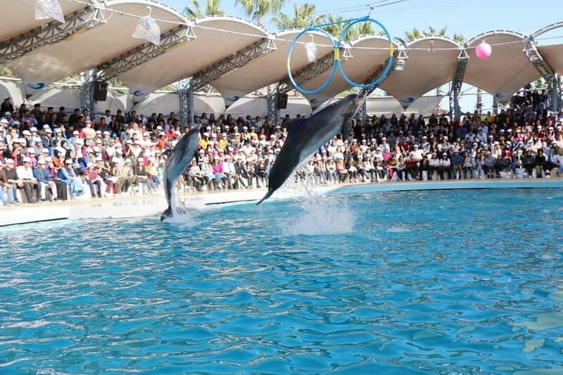 Alanya: Sealanya Dolphinpark Dolphin Show Tour - FAQs