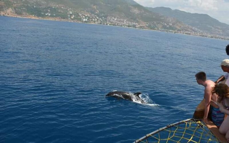 Alanya:Catamaran Tour with Lunch&Soft Drinks Animation Shows - The Experience Provider