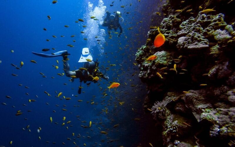 Alanya:Scuba Diving Boat Trip with Lunch and Transfer - The Itinerary in Detail