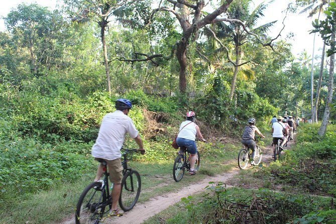 Alappuzha Backwaters & Beaches Bike Tour - An In-Depth Look at the Tour Itinerary