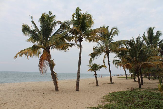 Alappuzha Backwaters & Beaches Bike Tour - In The Sum Up