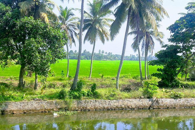 Alappuzha Backwaters in Private Houseboat with Lunch, Pick & Drop - Frequently Asked Questions