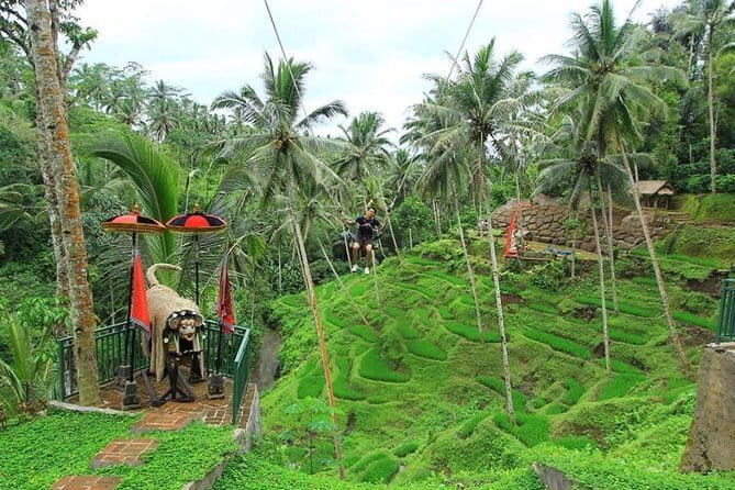 Alas Harum Bali Cretya Tegalalang Rice Terrace Ubud Swing Ticket - The Experience in Detail — What to Expect and Why It Matters