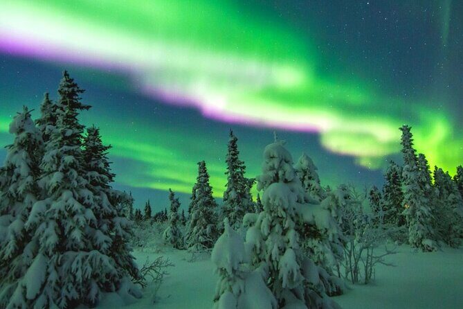 Alaska Aurora Season and Fairbanks Aurora Chasing Explore - What’s Included and What You Pay For