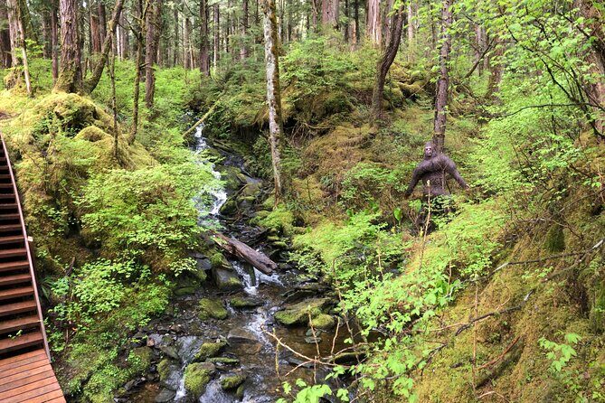 Alaska Bigfoot Adventures - An Overview of the Tour Experience