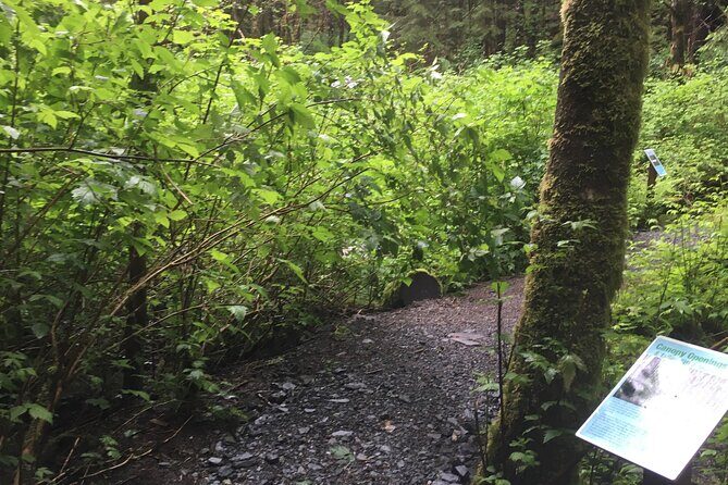 Alaska Bigfoot Adventures - Final Thoughts