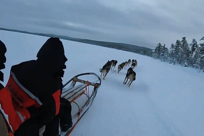 Alaska Dog Sled or ATV Ride in Fairbanks - Key Points