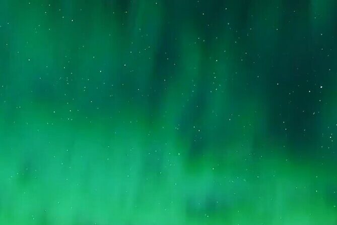 Alaska Dog Sled or ATV Ride in Fairbanks - Practical Considerations