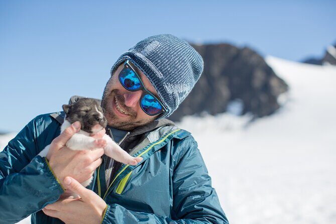 Alaska Helicopter and Glacier Dogsled Tour - ANCHORAGE AREA - Exploring the Experience