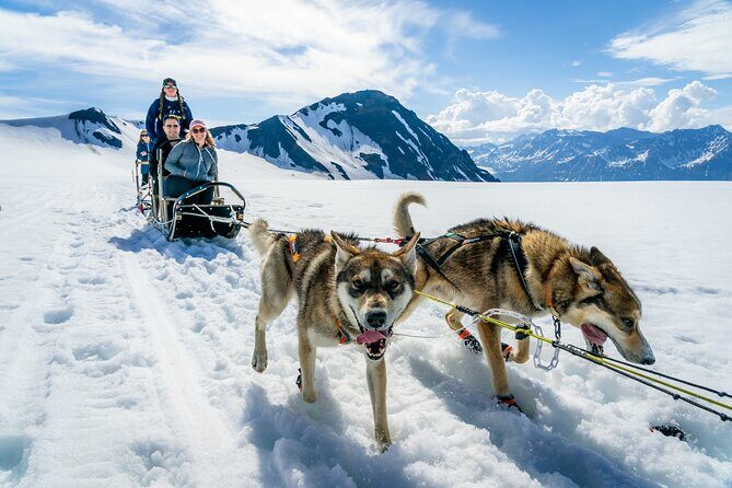Alaska Helicopter and Glacier Dogsled Tour - ANCHORAGE AREA - How the Tour Balances Cost and Value