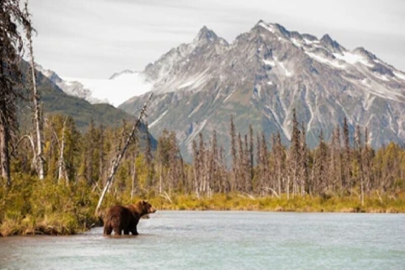 Alaska: Kenai Fjords & Denali National Park 5 Day Adventure - Who Should Consider This Tour?