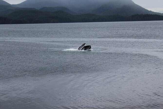 Alaska Native Cultural and Wildlife Adventure - Cultural and Historic Sites