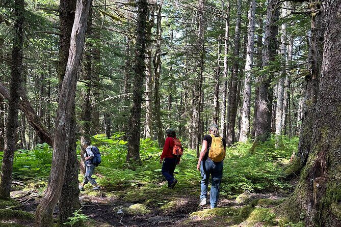 Alaska Nature Immersion: Forest Therapy Tour in Haines, Alaska - What Do Travelers Say?