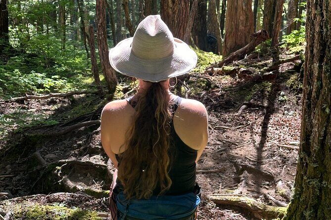 Alaska Nature Immersion: Forest Therapy Tour in Haines, Alaska - Who Should Book This Tour?